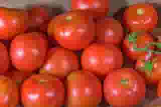 Gallery - The Market - Restaurant in San Diego, CA