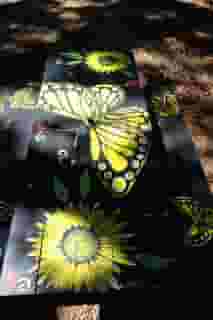 Photo Gallery - TacoLu. Fish Tacos, Tequila and Mezcal in Jax Beach