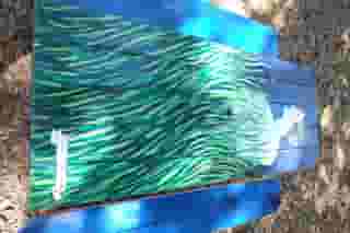 Photo Gallery - TacoLu. Fish Tacos, Tequila and Mezcal in Jax Beach