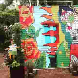 Photo Gallery - TacoLu. Fish Tacos, Tequila and Mezcal in Jax Beach