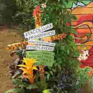 Photo Gallery - TacoLu. Fish Tacos, Tequila and Mezcal in Jax Beach