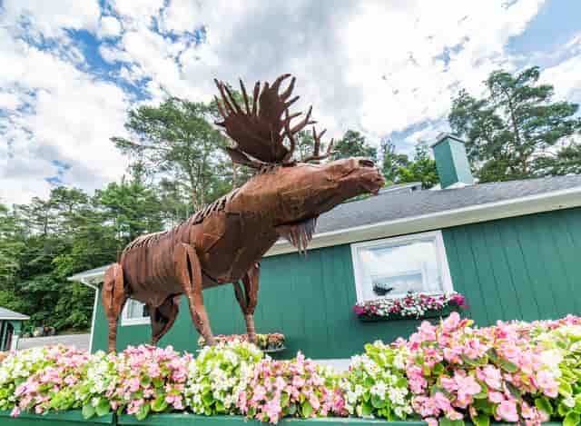 Gallery - Antlers Restaurant