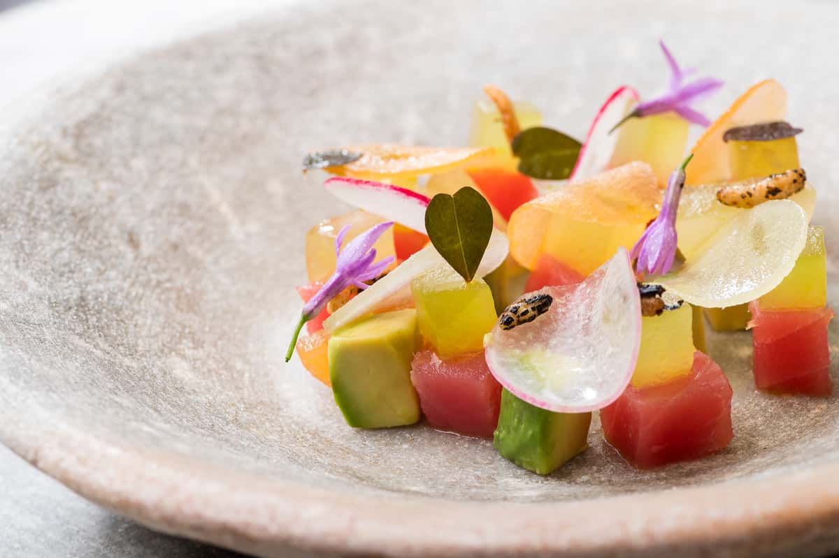 Gallery - ROOH Progressive Indian