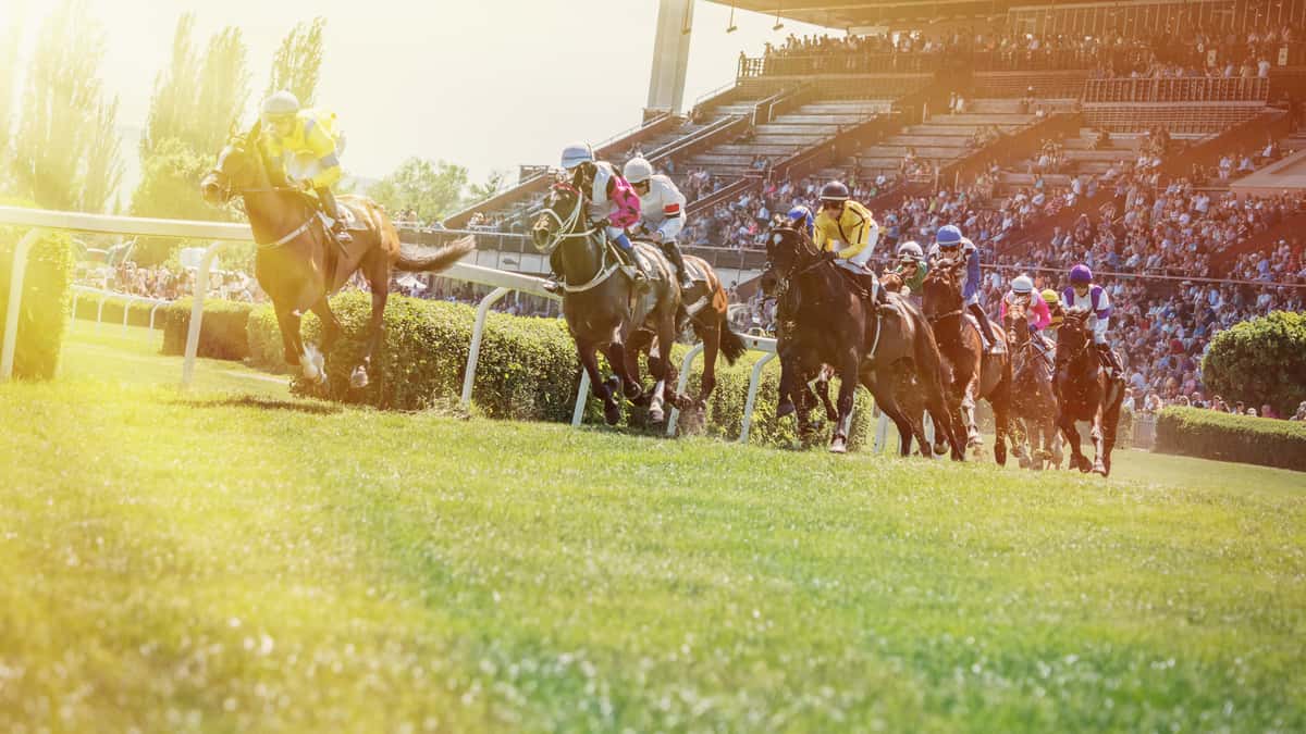 Horse Racing Slang: A Beginner's Guide to Common Racing Terms ...