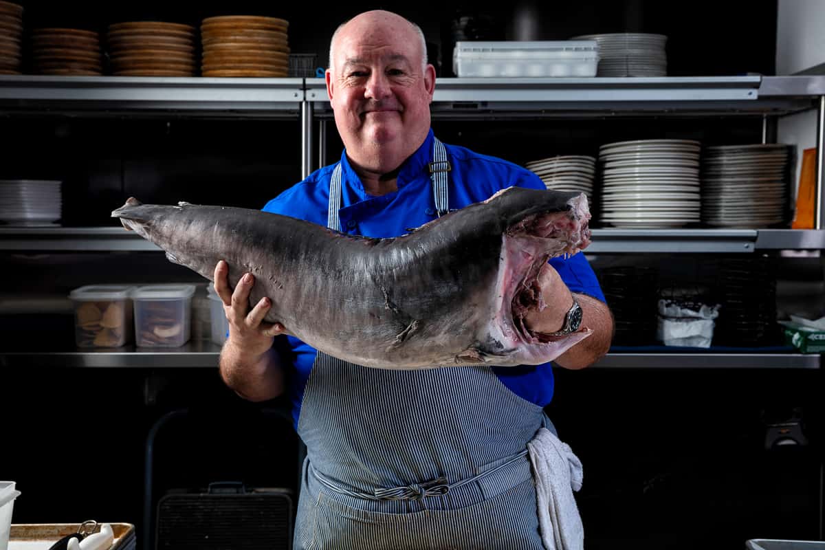 Meet Our Team - P Hospitality - Restaurant in Coral Springs, FL