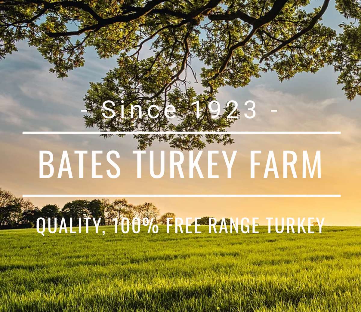 Home - Bates House of Turkey - American Restaurant in AL