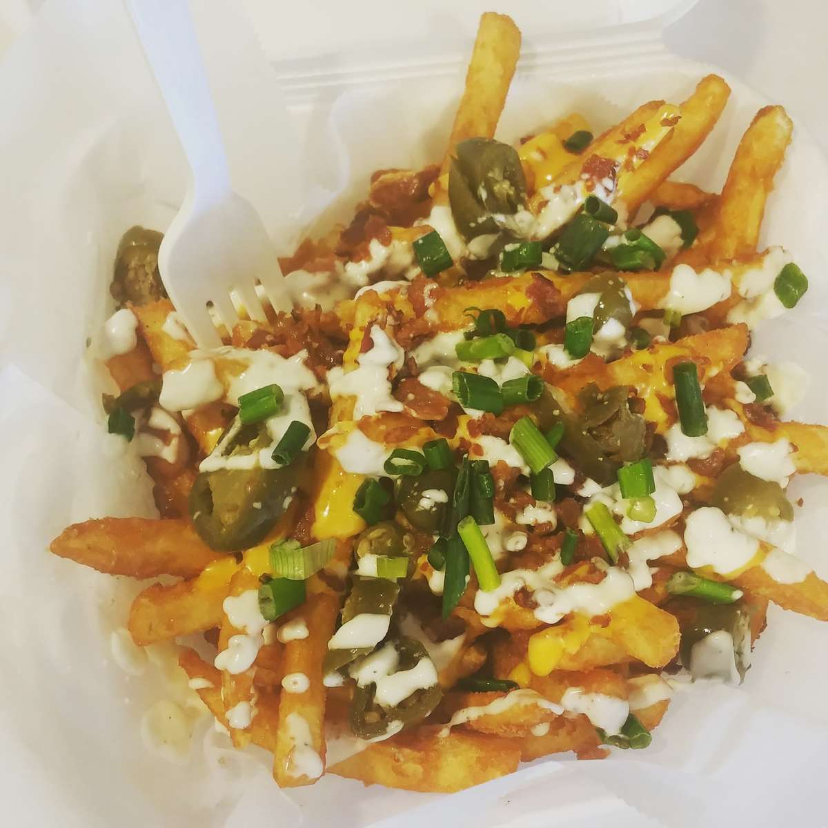 GARBAGE FRIES - Lunch/Dinner - Philly Phlava - CHEESE STEAKS & HOAGIES