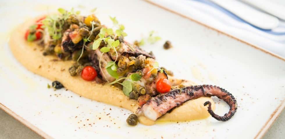 Gallery - Driftwood Kitchen - Seafood Restaurant in Laguna Beach, CA