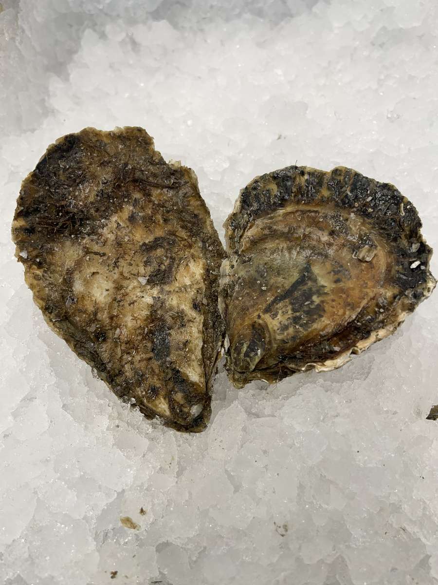 Oyster Pricing - The Crab Truck and Seafood Stop - Seafood Restaurant ...