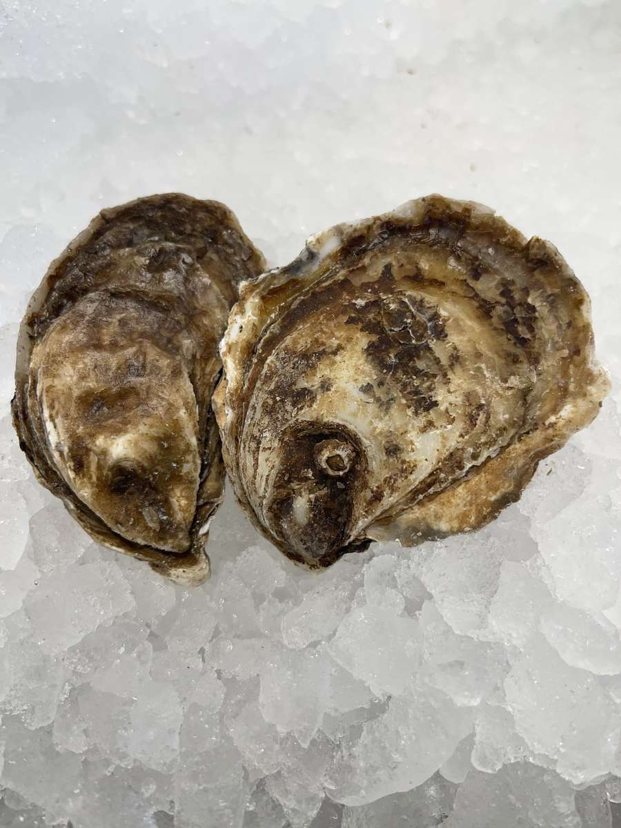 Oysters - Richard's Seafood Stop-Fallston - Seafood Restaurant in ...
