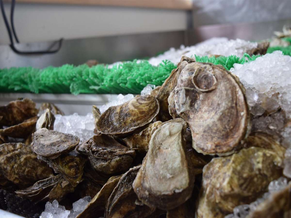 Oysters - Richard's Seafood Stop-Fallston - Seafood Restaurant in ...