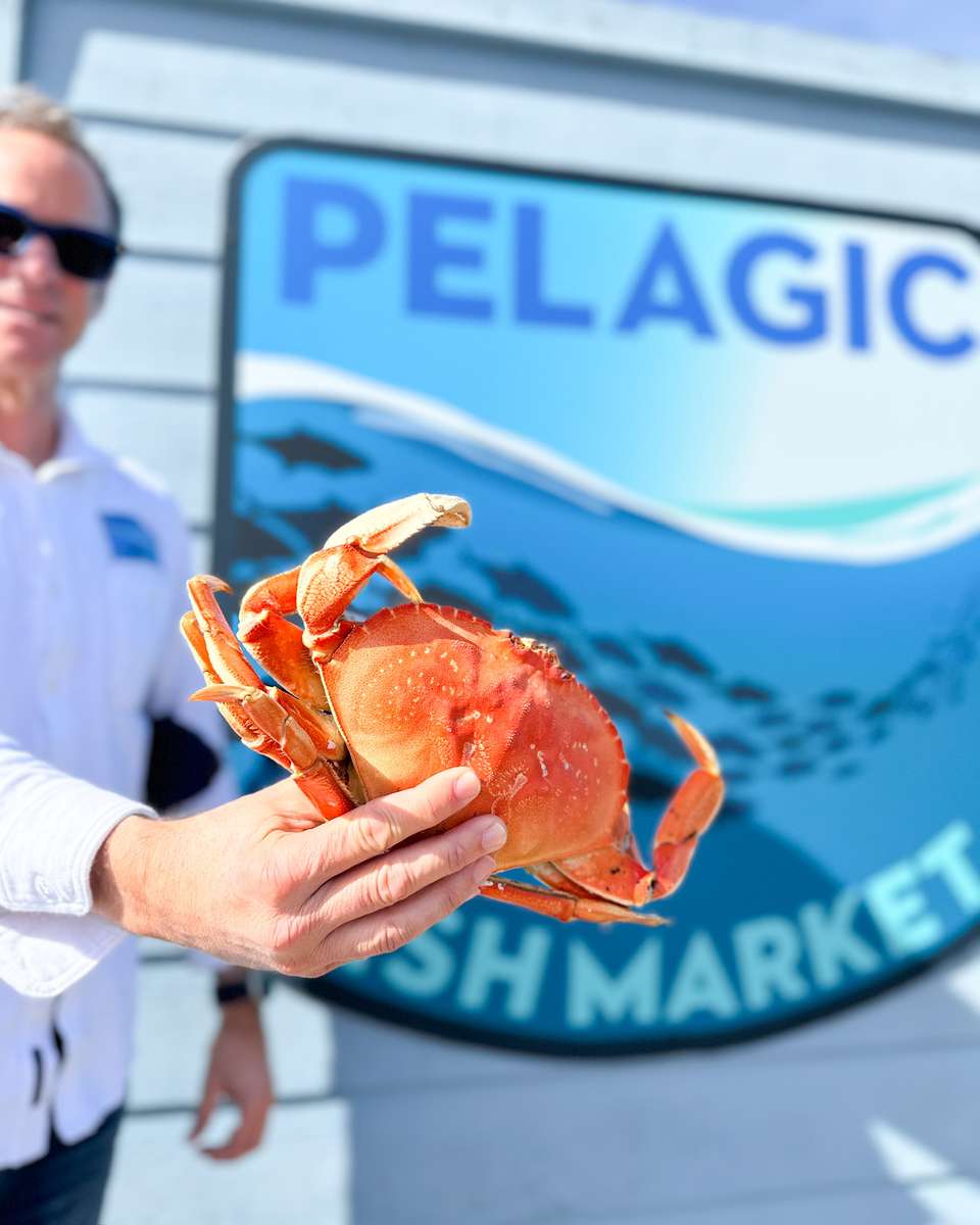 Join Our Team - Pelagic Fish Market and Grill