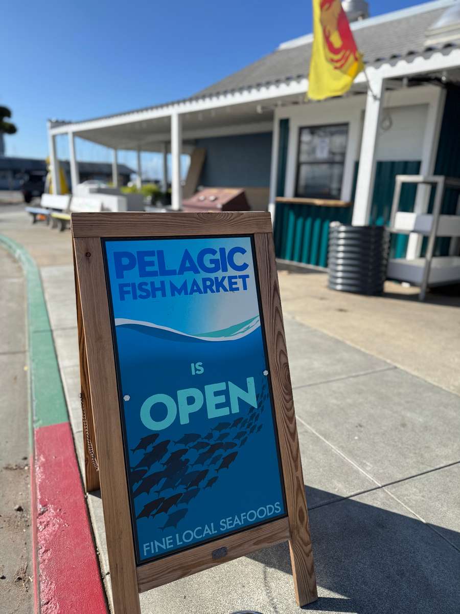 Pelagic Fish Market and Grill