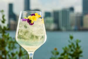 Happy Hour Specials In Miami, Fl - Rusty Pelican Miami - Seafood ...
