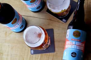 The Win-Win Beer Series - Hopworks Brewery: Portland Bar & Grill Restaurant