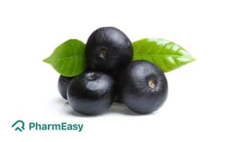 Energize Your Day: Bringing the Vibrant Spirit of Brazilian Açaí to ...