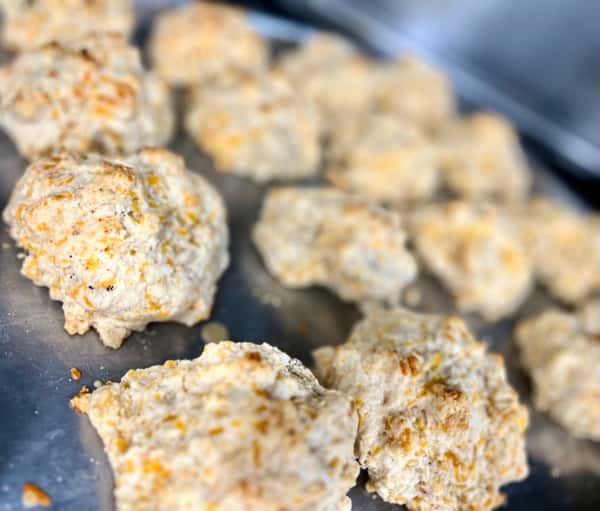 Gallery - Alamar Marina, Restaurant, and Bar