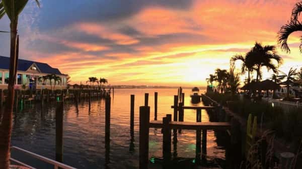 Gallery - de Lazy Lizard