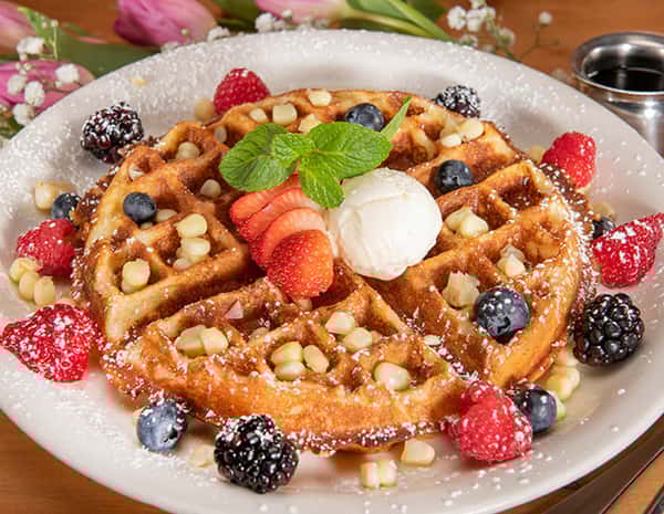 The Urth Salad - Lunch/Dinner - Urth Caffé - European-style café