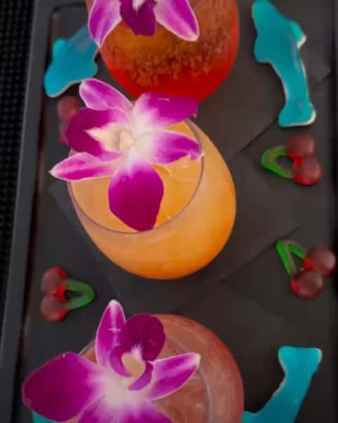 Boston Sugar Factory - Sugar Factory