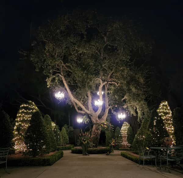 Photo Gallery - The River Mill - Event Center in French Camp, CA