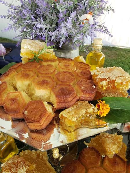 Gallery - Waiter's Choice Catering - American in Charlotte, NC