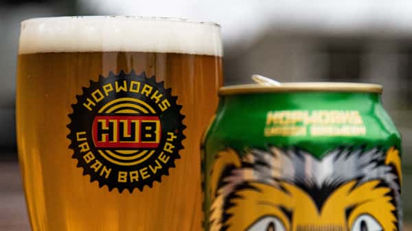 New PostHomebrew Juicy Bear IPA! - Hopworks Brewery: Portland Bar ...