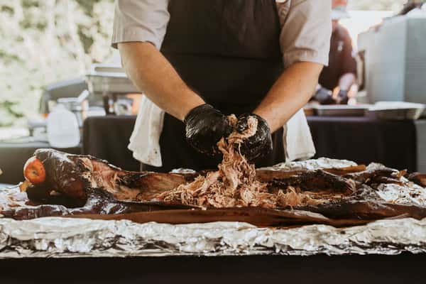 Gallery - The Bearded Pig