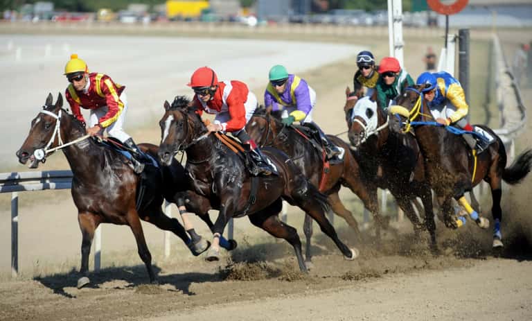 Horse Racing Slang: A Beginner's Guide to Common Racing Terms ...