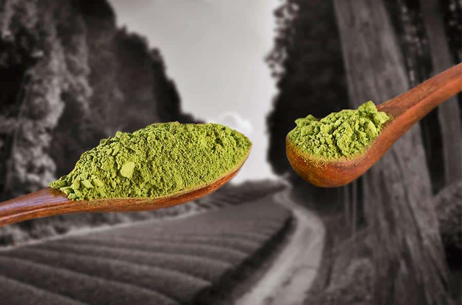 Fine Teas - Urth Caffé - Coffee Shop