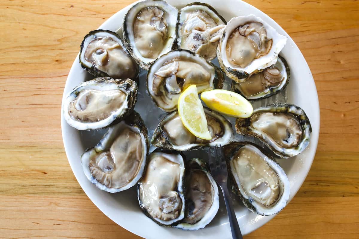 Oyster seafood store