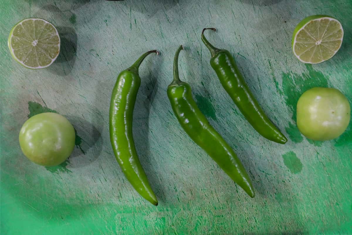 The Taco man Mexican grill