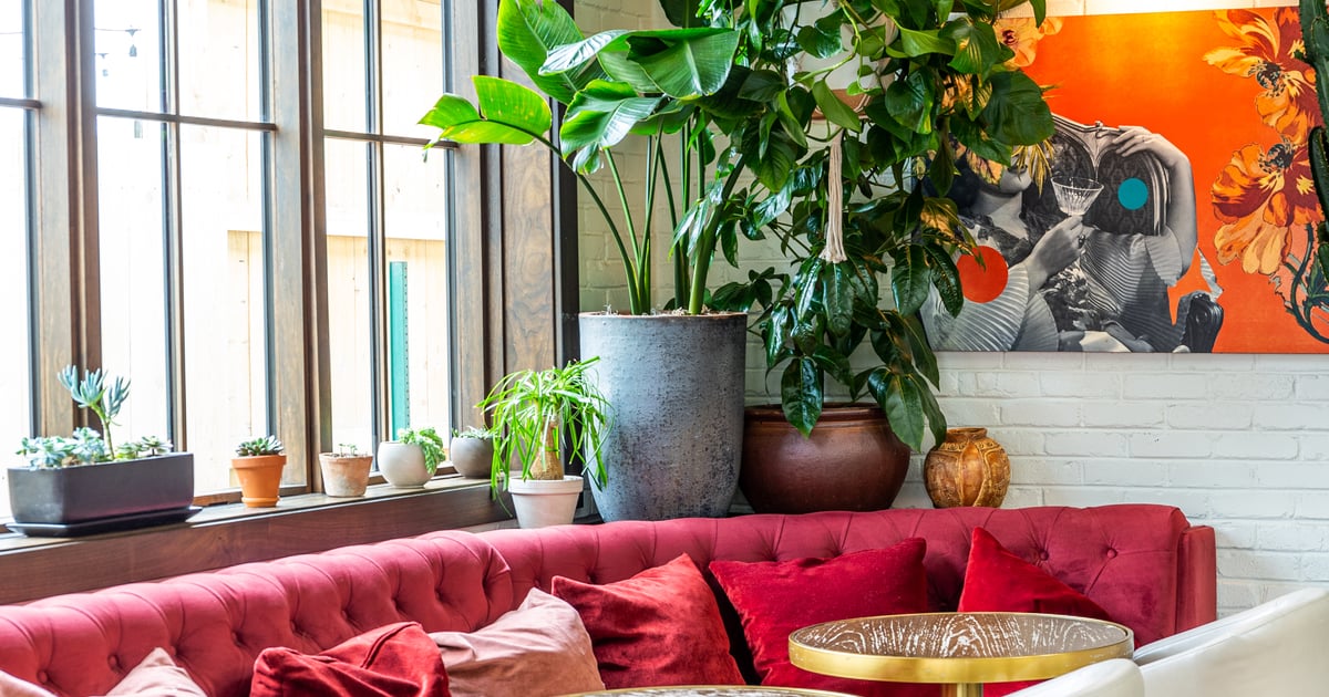 Forget Me Not - Cocktail Bar in Denver, CO