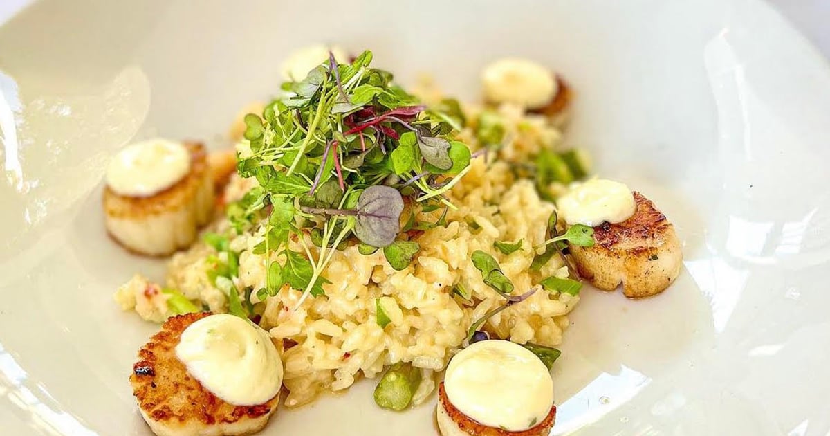 Pan Seared Scallops - Full Menu - Novara - Italian Restaurant in Milton, MA