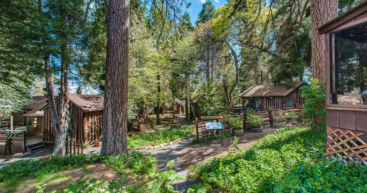 Contact - Willow Woods Park - Pub in Skyforest, CA