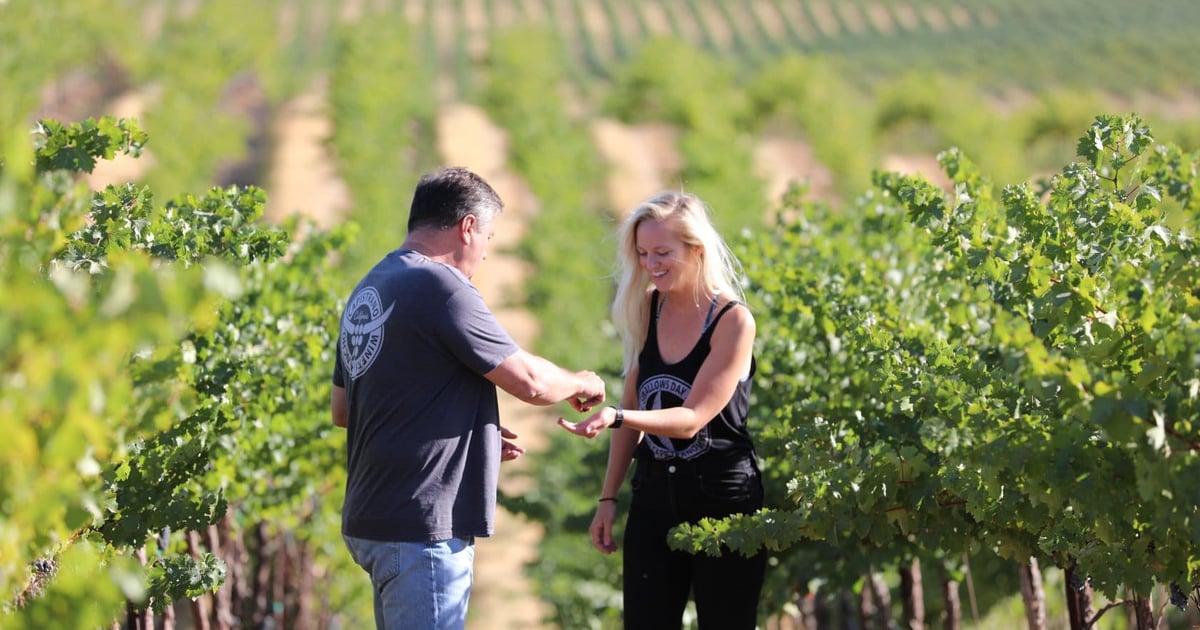 Buy Our Wine - Rancho Capistrano Winery - Restaurant and Event Venue in CA