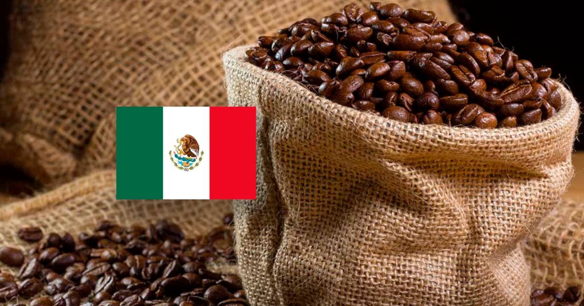 Mexico-Whole Coffee Beans - Latin Fresh Group - First Fresh Latin Fast ...