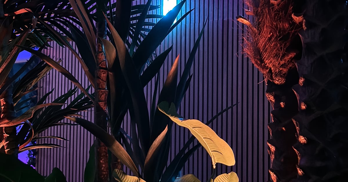 Locations - The Pink Agave