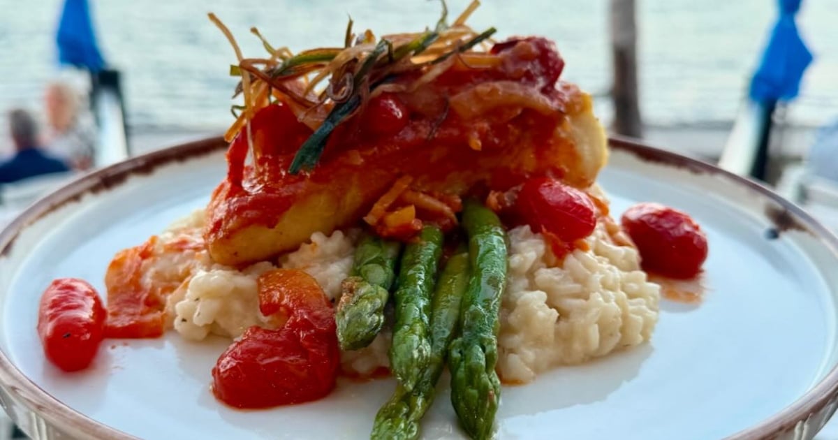 Pan Seared Halibut - BOATHOUSE - Fish restaurant in Stuart, FL