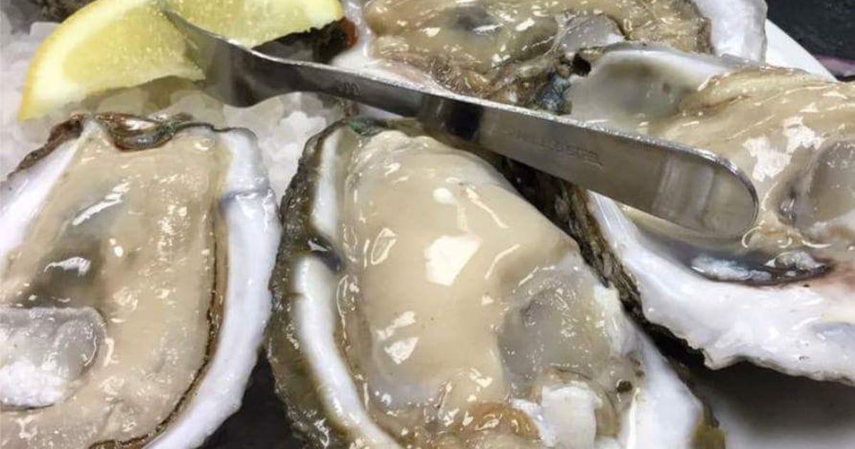 One Dozen Raw Oysters - Lighthouse Point Bar and Grille - American ...