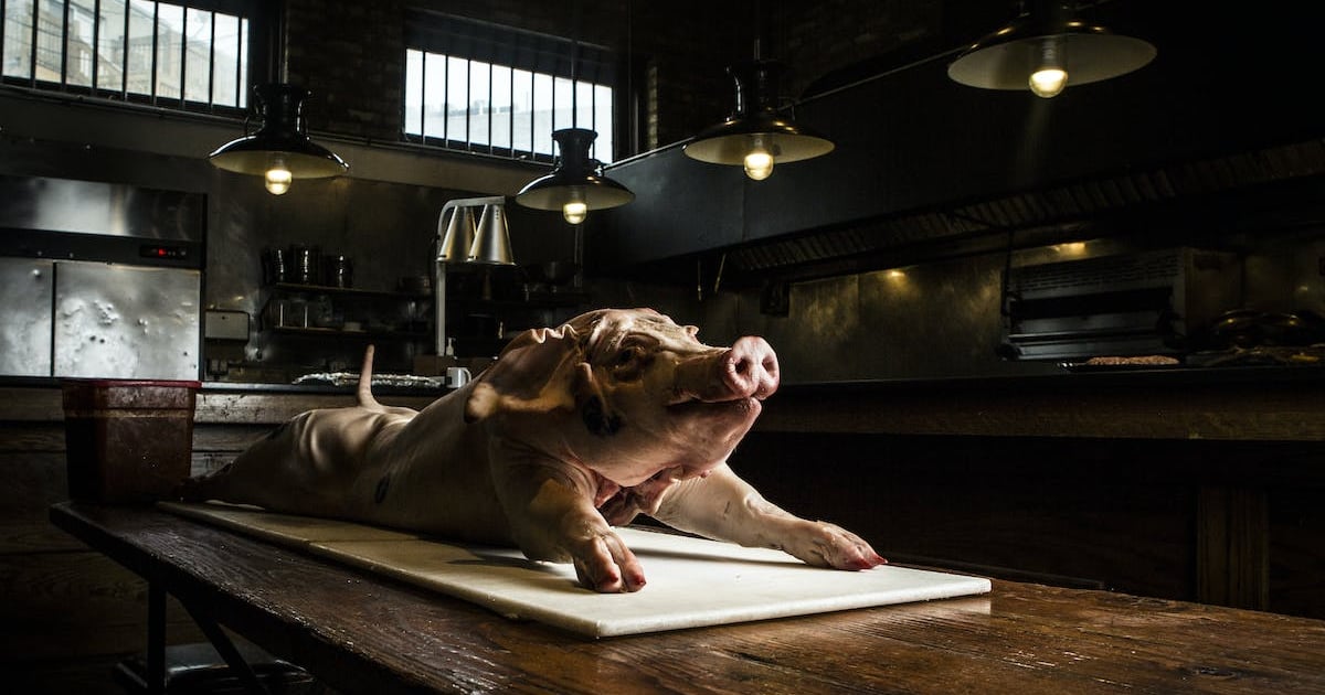 Whole Animal Experience - Frontier | Noble Square, Chicago, IL | Gastro ...