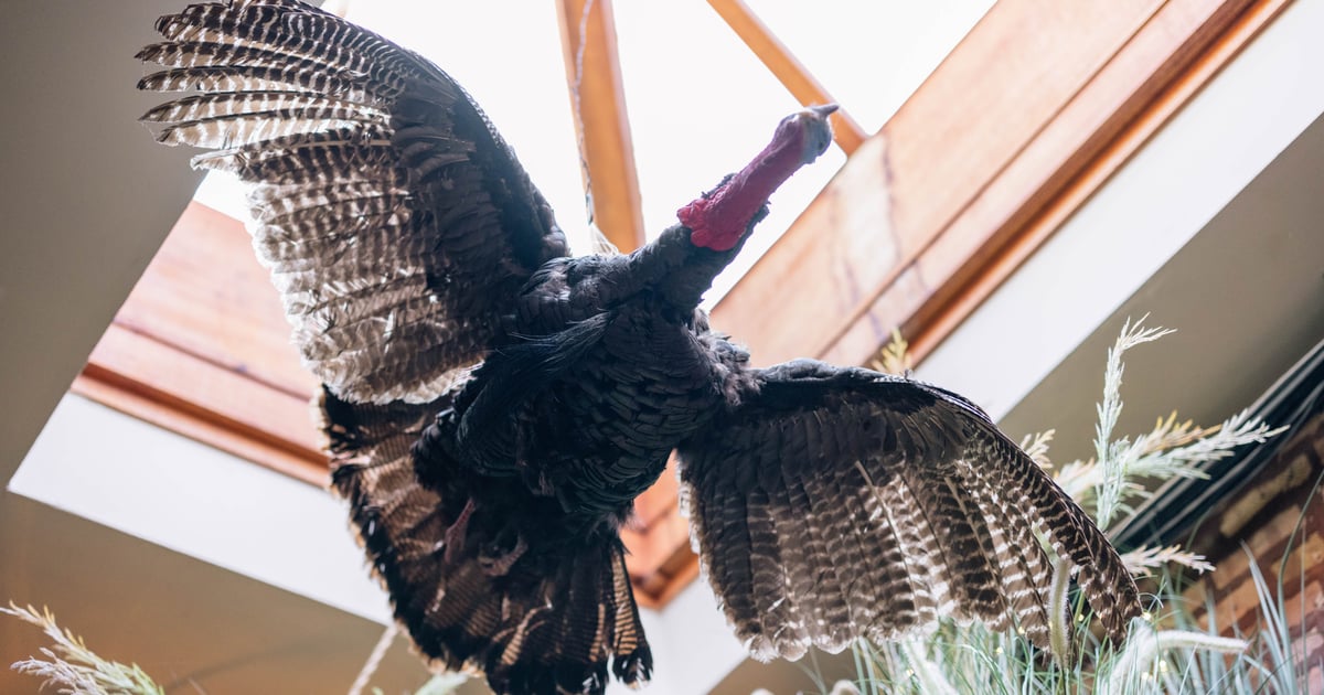 Happenings - Frontier | Noble Square, Chicago, IL | Gastro Pub | Wild Game