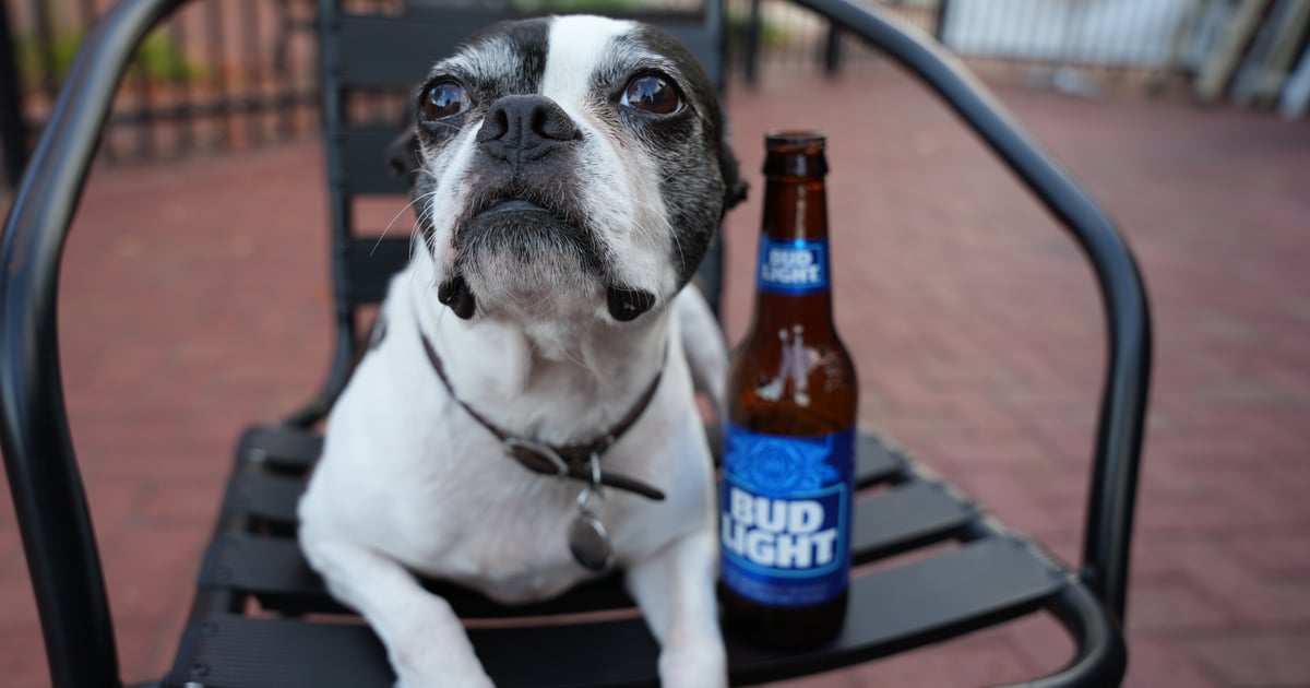 Gallery - Creatwood Tavern & Rooftop - American Restaurant in Smyrna, GA