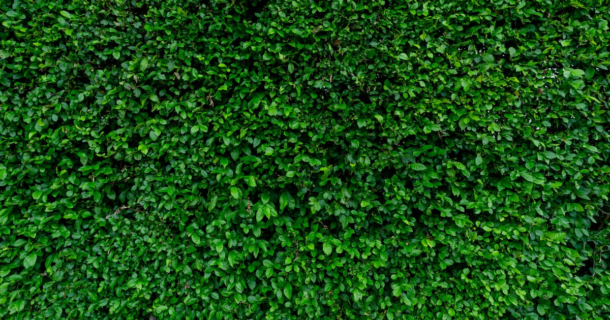 Our Menu - Cactus Coffee Co. - Coffee Shop in Colorado City, TX