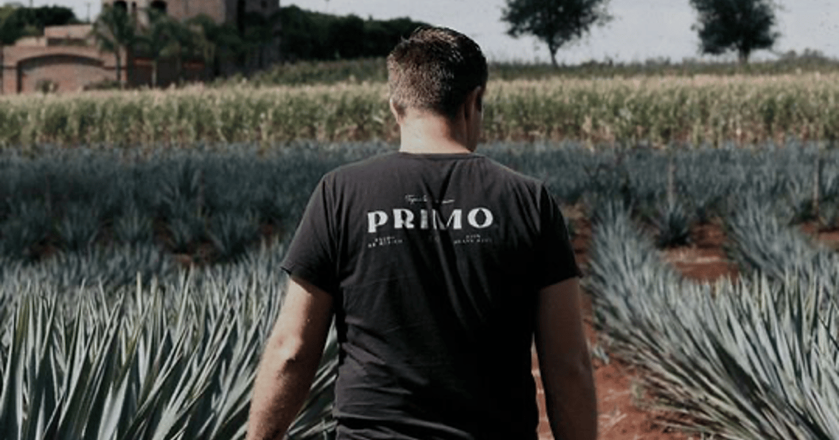 PRIMO 1861 - AGAVE SPIRITS - Bar Hermanito Sawtelle