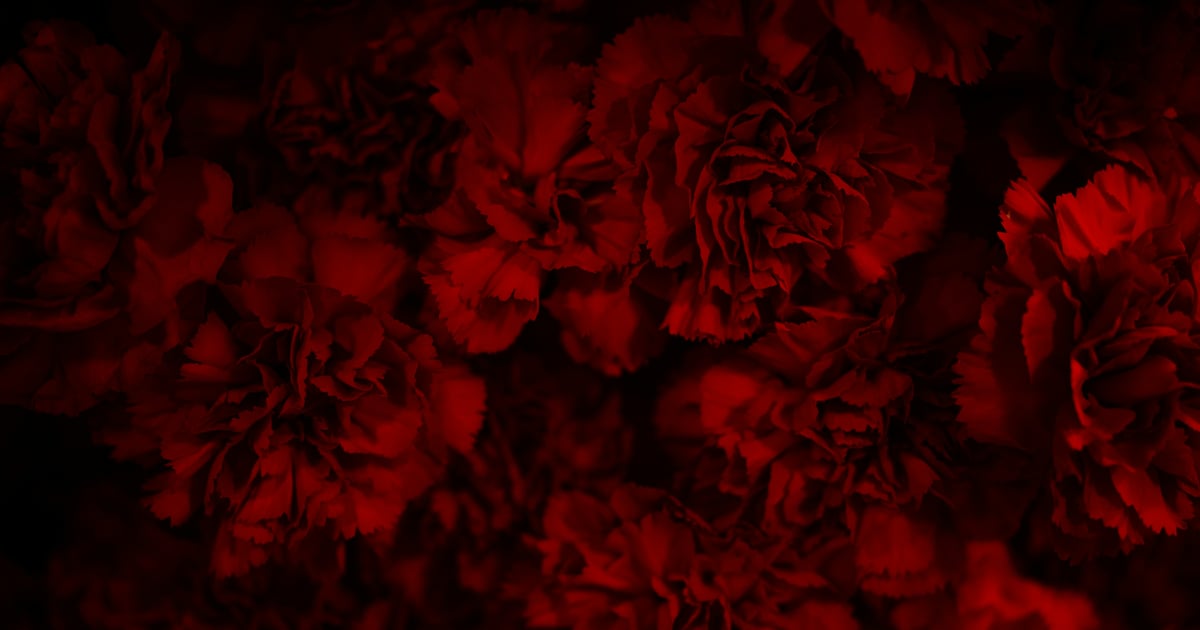 Reservations - Red Room Bistro