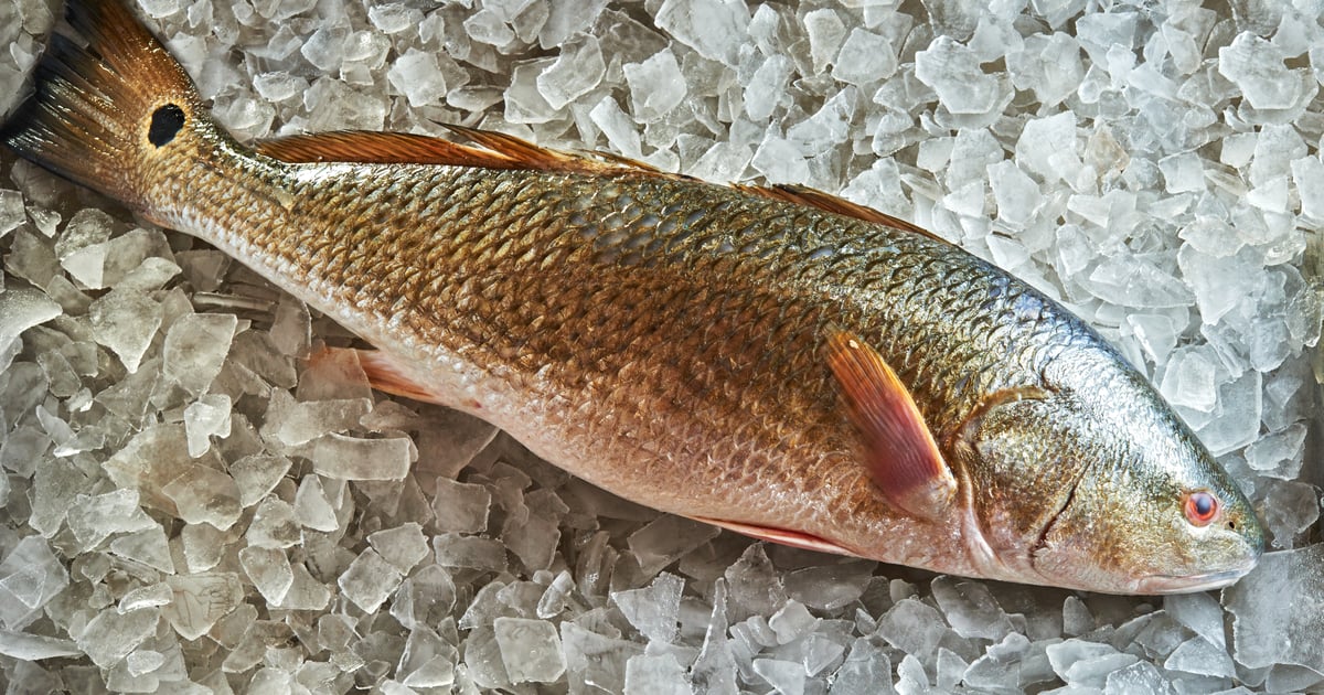 Sustainability - GW Fins - Premier Seafood Restaurant New Orleans