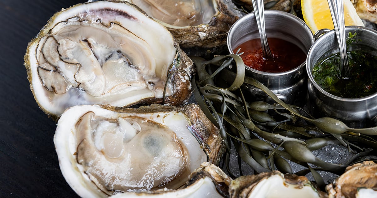 Oysters on Half Shell - The Wharf Fish & Oyster Company - Oyster bar ...