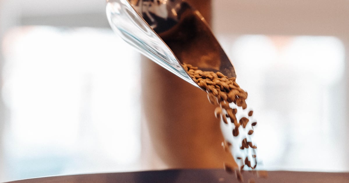 Join Our Team - Must Have Coffee
