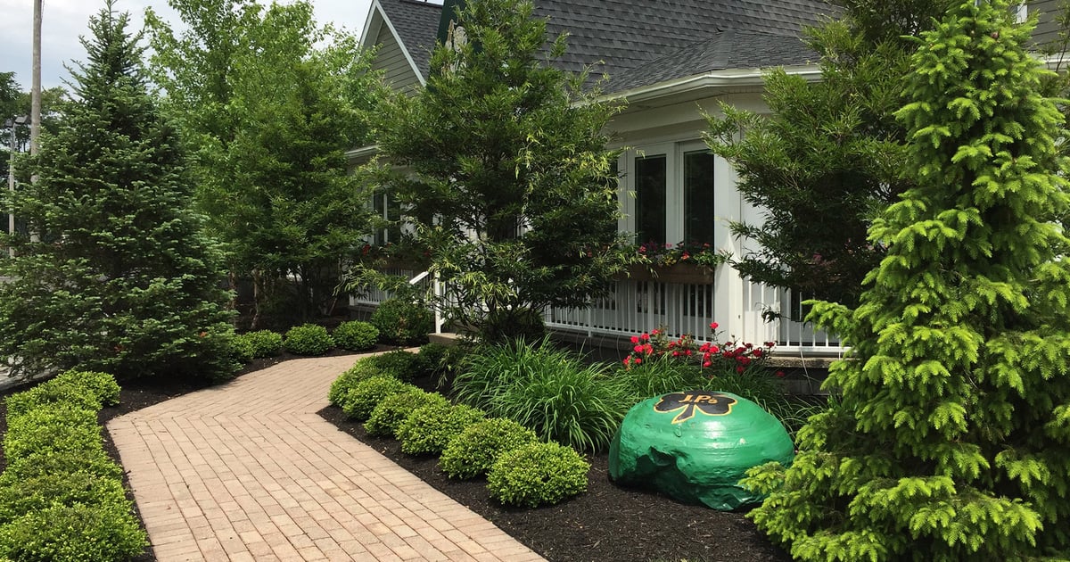 News & Events - JP Fitzgerald's